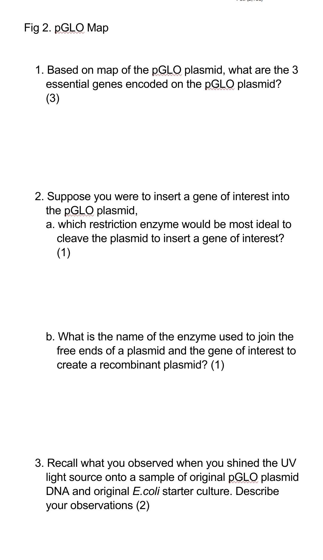 Solved PART B LIGATION \& TRANSFORMATION Fig 2. pGLO Map 1. | Chegg.com