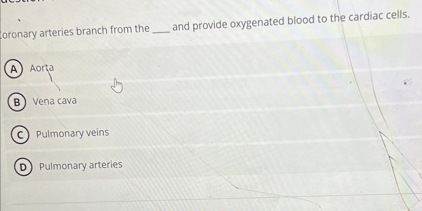 Solved toronary arteries branch from the and provide | Chegg.com