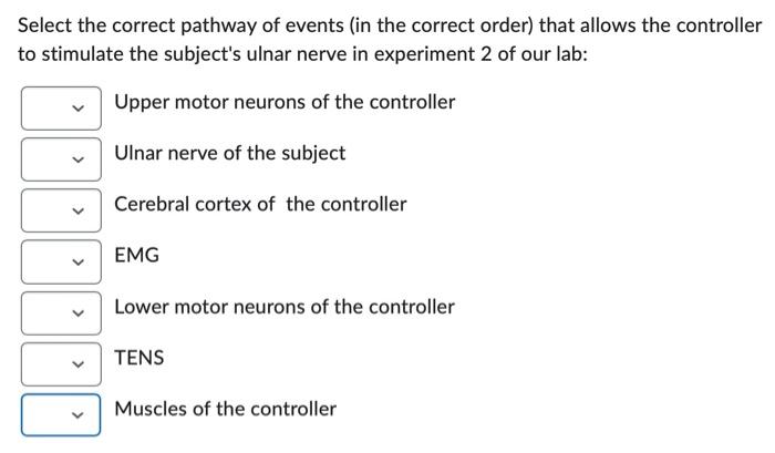 Solved Select the correct pathway of events (in the correct | Chegg.com