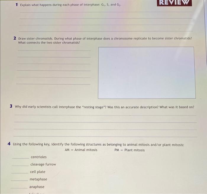Solved 1 Explain what happens during each phase of | Chegg.com
