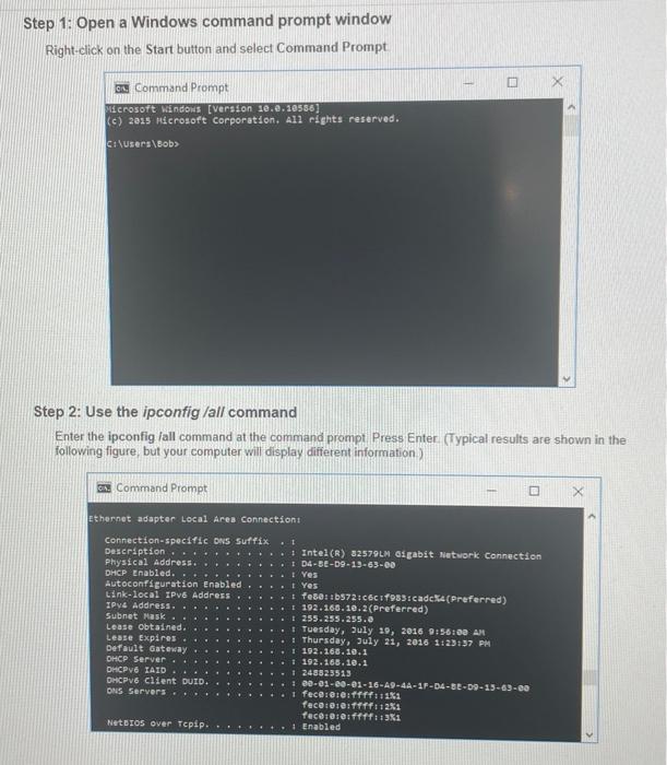 Solved Lab - Determine the MAC Address of a Host Topology | Chegg.com