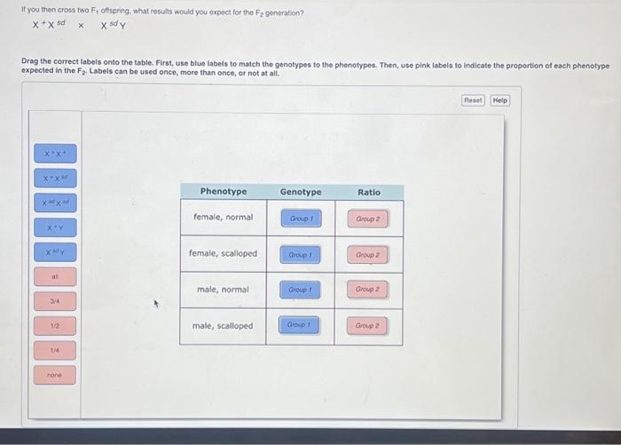 Solved If you then cross two F1 offspring. what results | Chegg.com