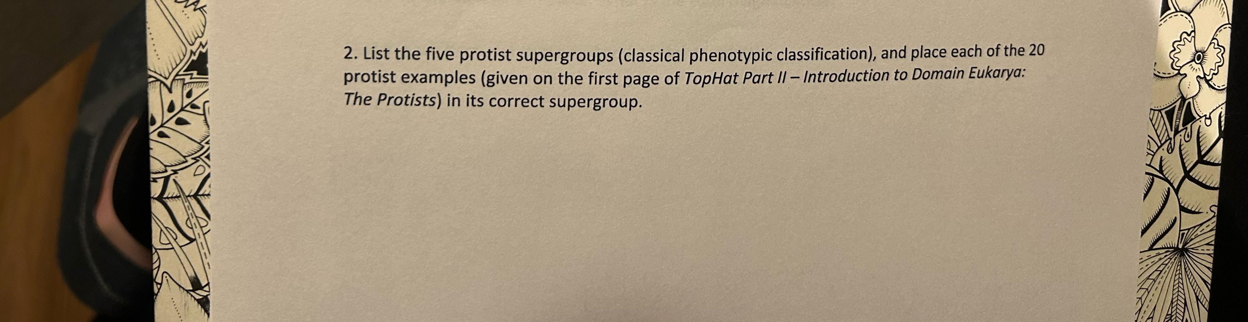 Solved List the five protist supergroups (classical | Chegg.com