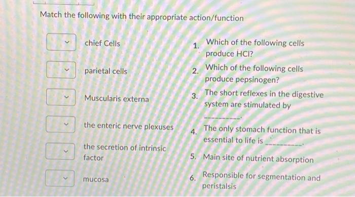 Solved Match the following with their appropriate | Chegg.com
