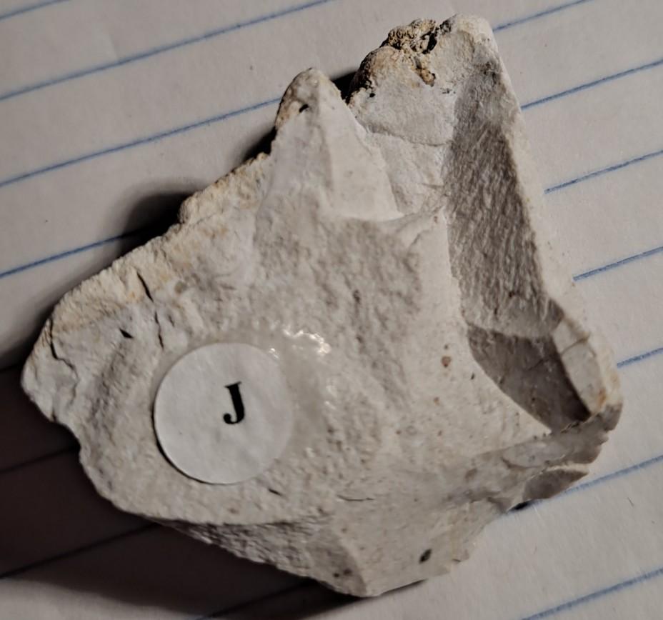 Solved Table 6: Sedimentary Rock Identification Rock Sample | Chegg.com