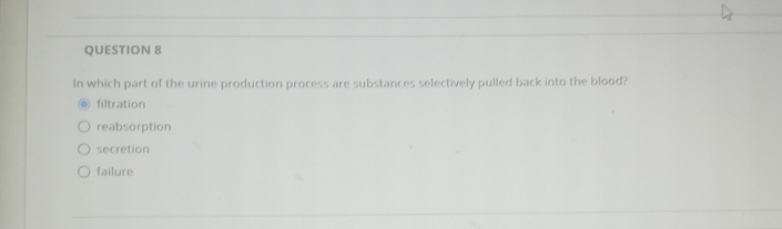 Solved QUESTION 8In which part of the urine production | Chegg.com