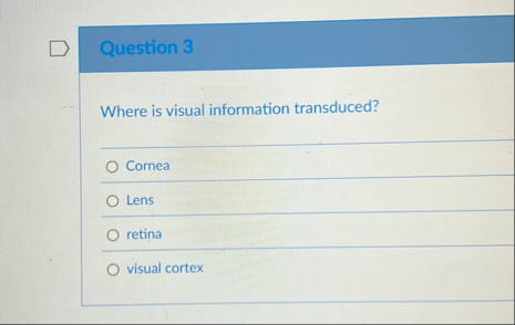 Solved Question 3Where is visual information | Chegg.com