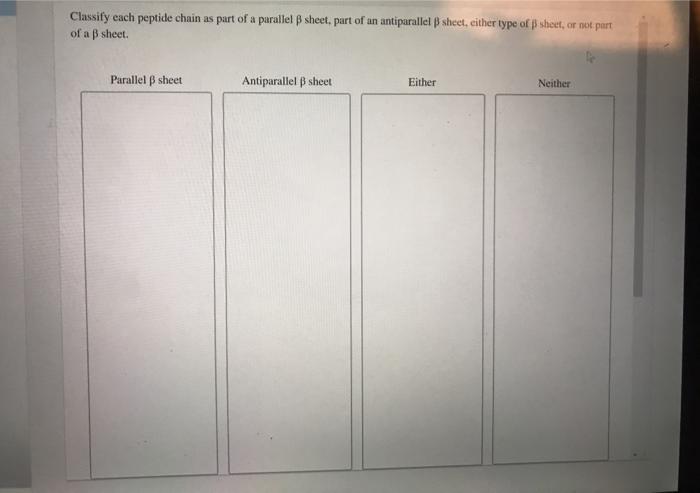 Solved Classify each peptide chain as part of a parallel B | Chegg.com Solved Classify each peptide chain as part of a parallel B | Chegg.com