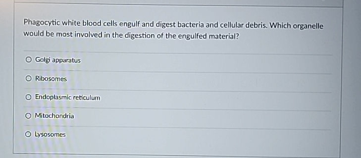 Solved Phagocytic white blood cells engulf and digest | Chegg.com