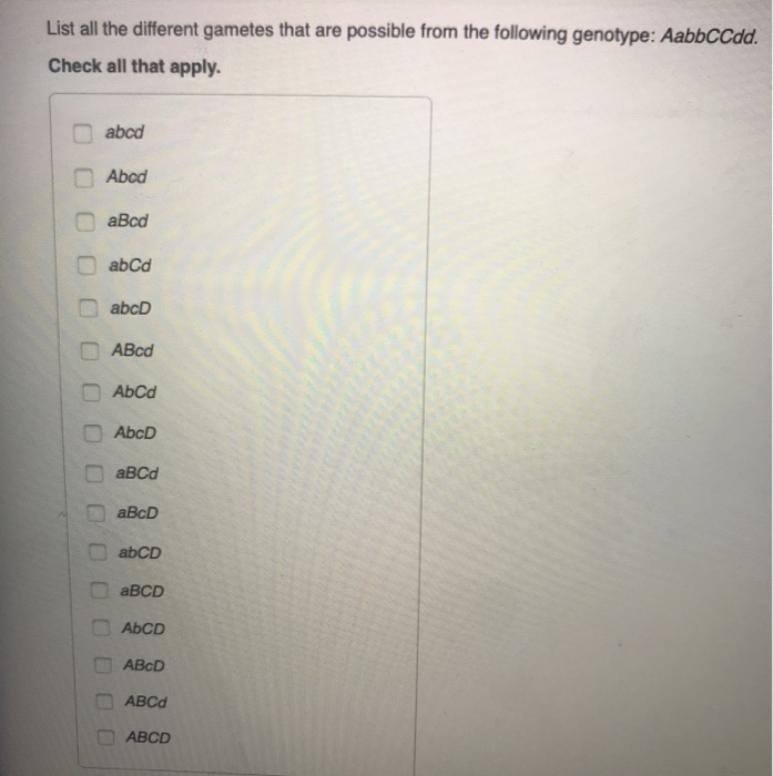 Solved List all the different gametes that are possible from | Chegg.com