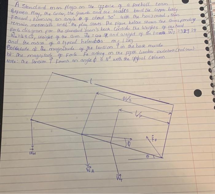 Solved A standard man plays on the iffense of a fortball | Chegg.com