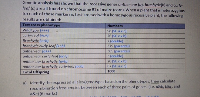 Solved Genetic analysis has shown that the recessive genes | Chegg.com