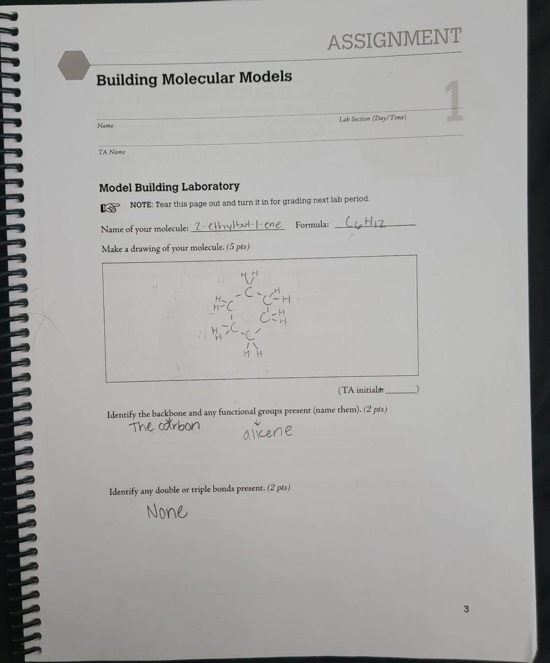 Solved Building Molecular Models Name Lab Section (Day/Time) | Chegg.com
