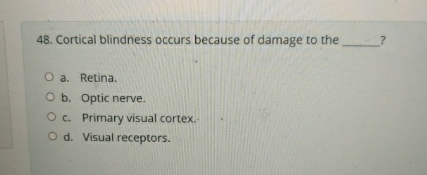 Solved Cortical blindness occurs because of damage to thea. | Chegg.com
