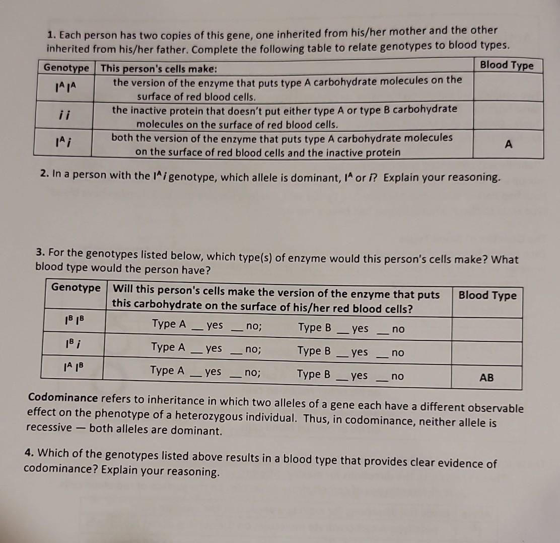 Solved This expanded version of a Punnett square shows how | Chegg.com