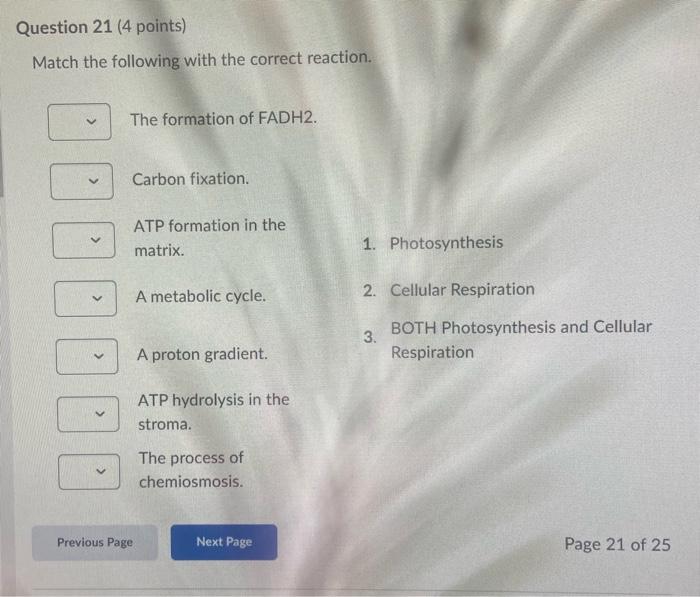 Solved Question 21 (4 points) Match the following with the | Chegg.com