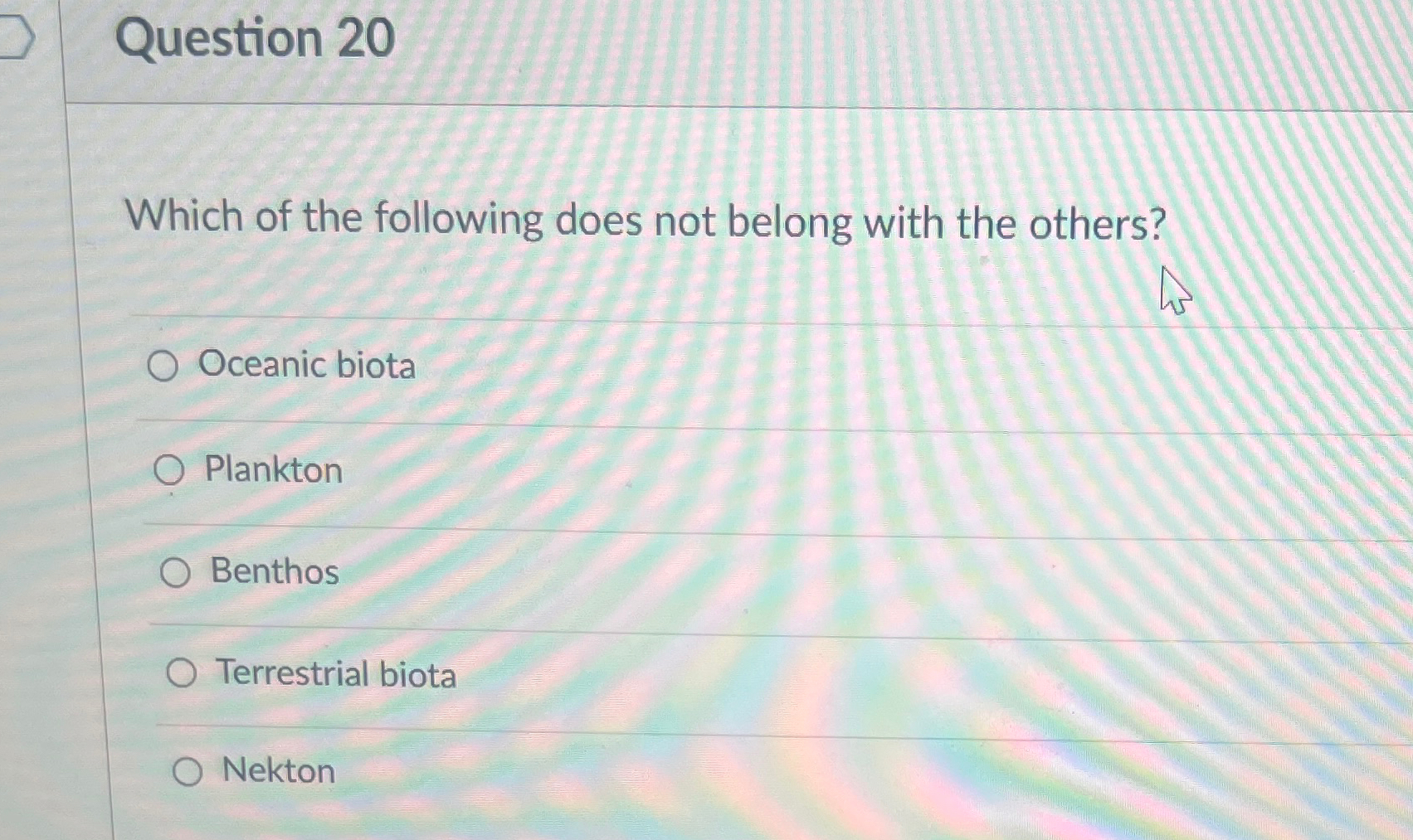 Solved Question 20Which of the following does not belong | Chegg.com