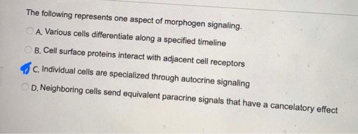 Solved The following represents one aspect of morphogen | Chegg.com