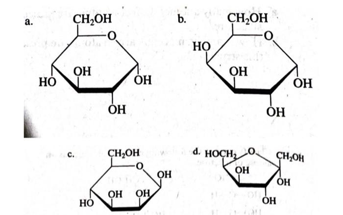 Solved 83. Draw the open-chain form for each of the | Chegg.com