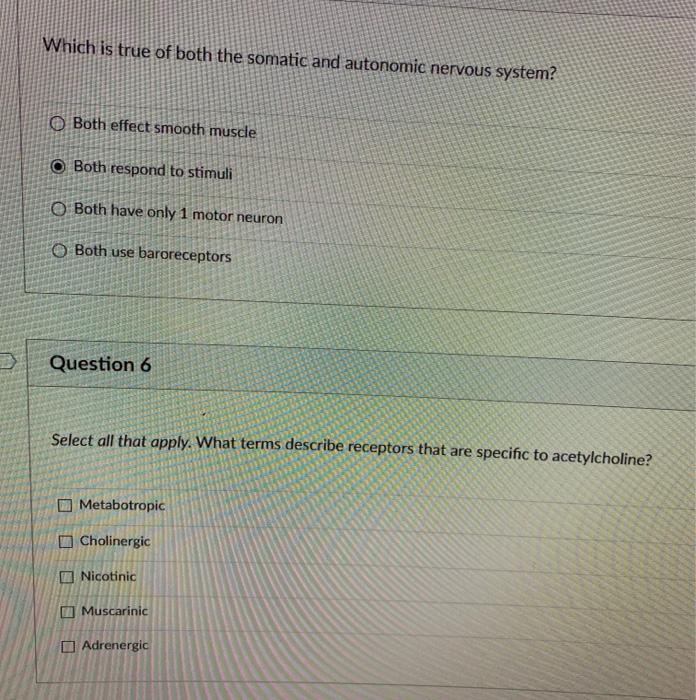 Solved Which is true of both the somatic and autonomic | Chegg.com