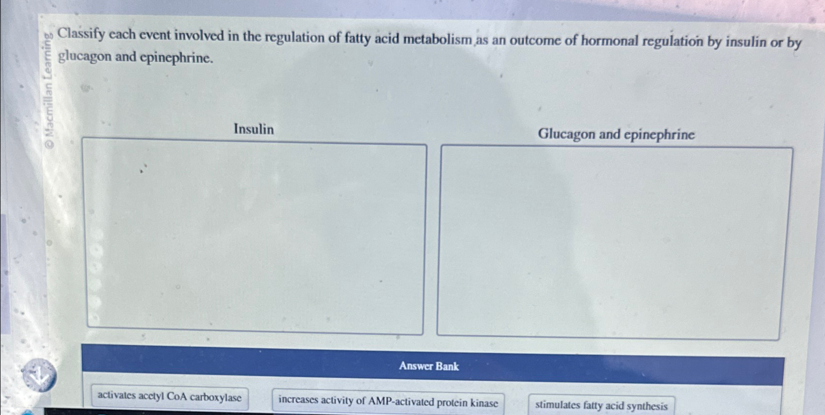 Solved is Classify each event involved in the regulation of | Chegg.com