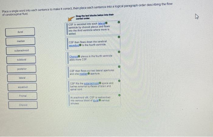 Solved Place a single word into each sentence to make it | Chegg.com
