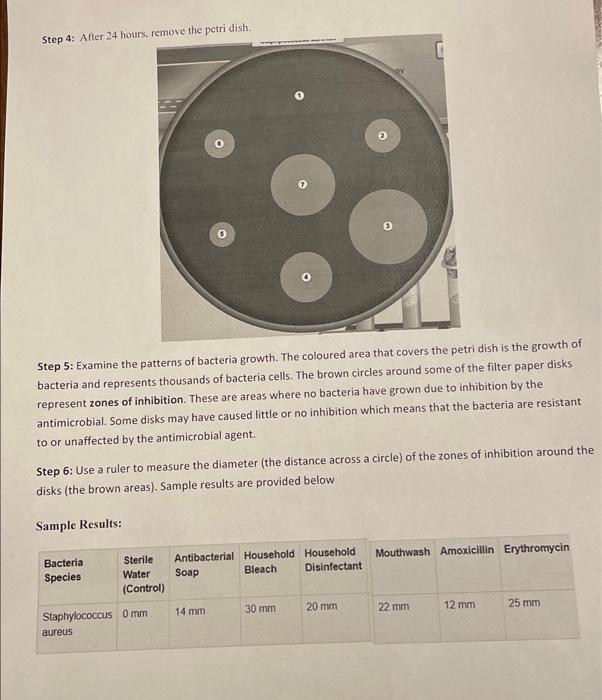 Solved Unit 2 Lab_Comparing the effectiveness of | Chegg.com