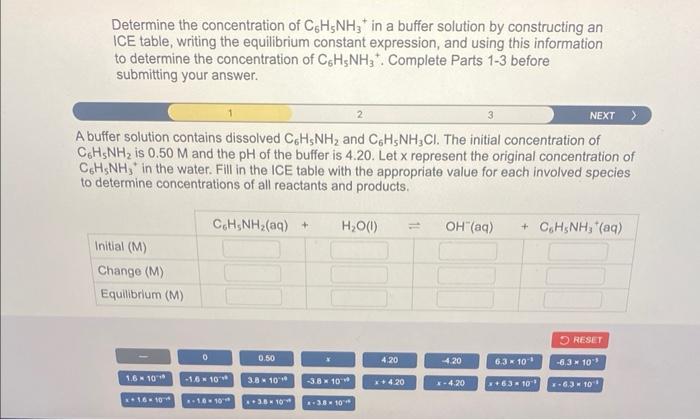Solved Determine the concentration of C6H5NH3+in a buffer | Chegg.com