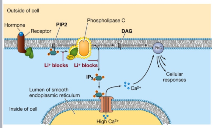 Solved Explain each step of the direct and indirect signal | Chegg.com