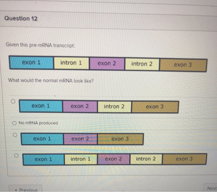 Solved Question 12 Given this pre-mRNA transcript: exon 1 | Chegg.com