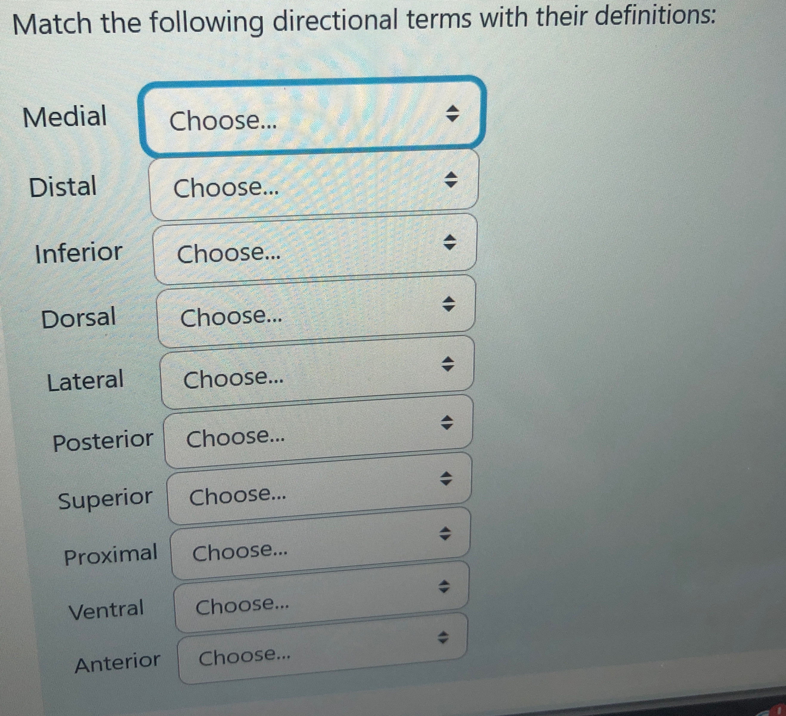 Solved Match the following directional terms with their | Chegg.com