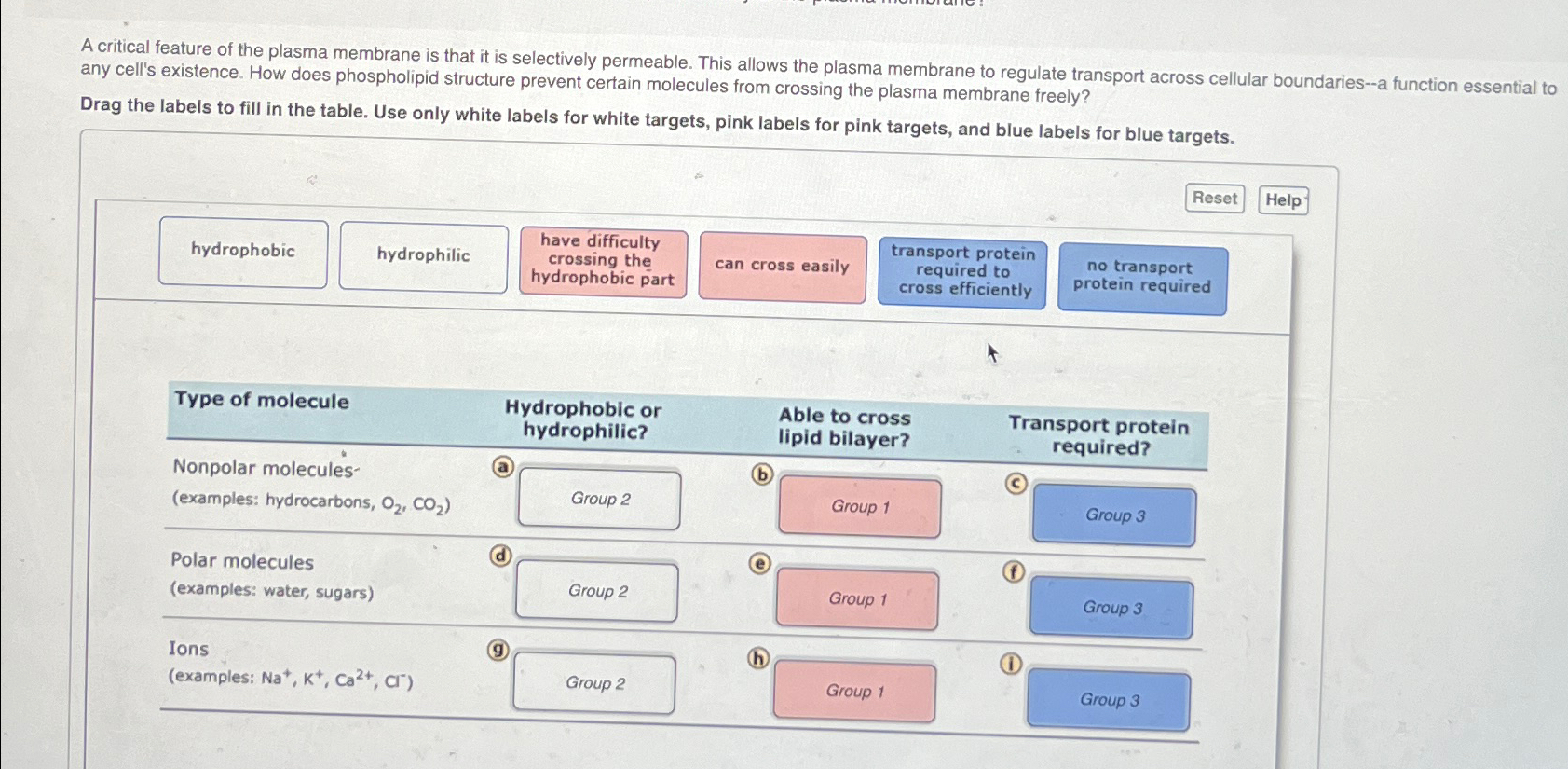 Solved A critical feature of the plasma membrane is that it | Chegg.com