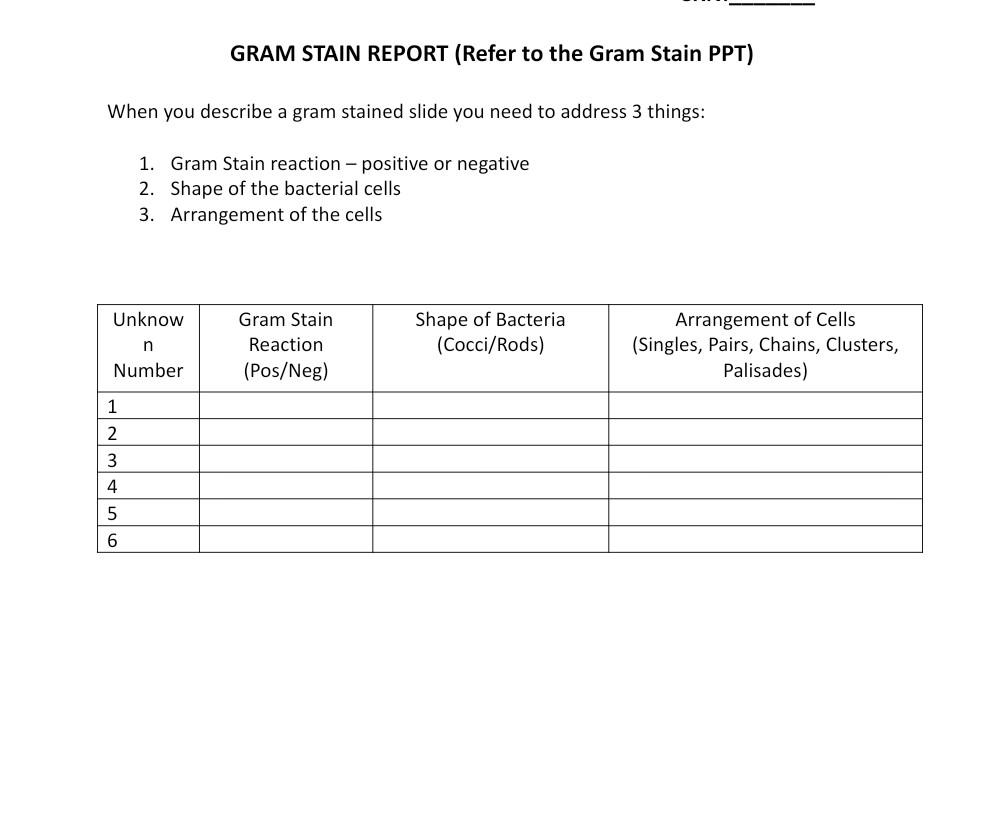 Solved GRAM STAIN REPORT (Refer to the Gram Stain PPT) When | Chegg.com