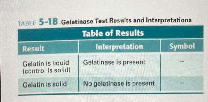 Solved Gelatin Hydrolysis (Gelatinase Test) OBSERVATIONS AND | Chegg.com