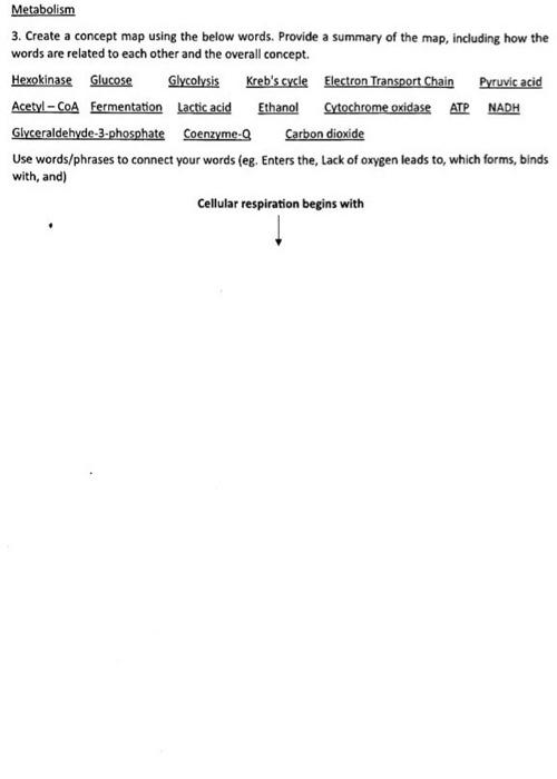 Solved 3. Create a concept map using the below words. | Chegg.com