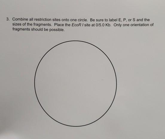 Solved ACTIVITY: RESTRICTION SITE MAPPING PRACTICE Below is | Chegg.com