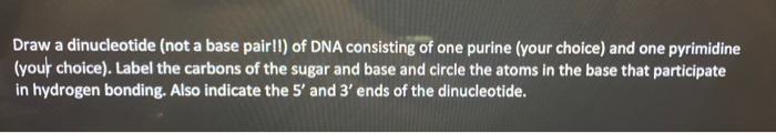Solved Draw a dinucleotide (not a base pairll) of DNA | Chegg.com