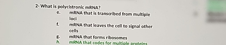 Solved 2- ﻿What is polycistronic mRNA?e. ﻿mRNA that is | Chegg.com