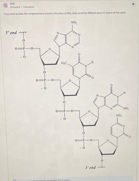 Solved If you were to draw the complementary strand to this | Chegg.com