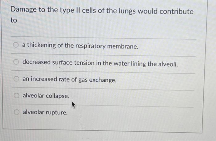 Solved Movement of oxygen and carbon dioxide between alveoli | Chegg.com