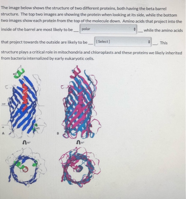 Solved The image below shows the structure of two different | Chegg.com