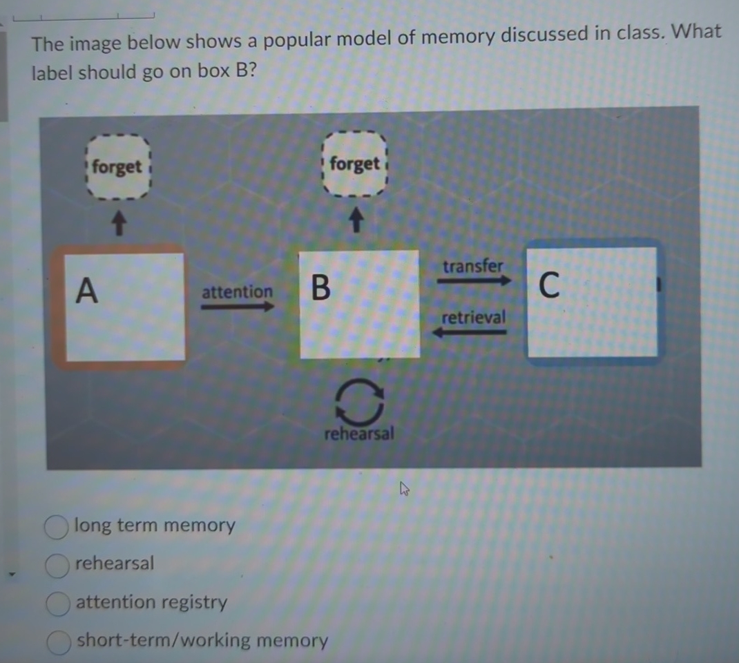 Solved The image below shows a popular model of memory | Chegg.com