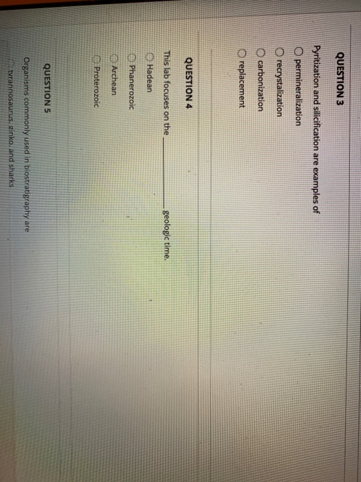 Solved QUESTION 3 Pyritization and silicification are | Chegg.com