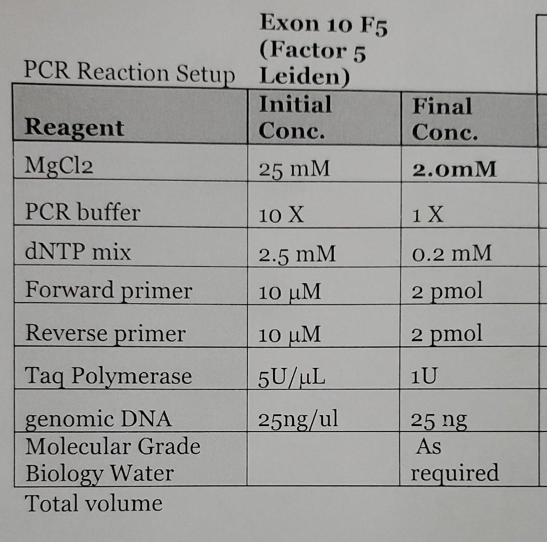 Solved Your Forward and Reverse Primers for F5 are | Chegg.com