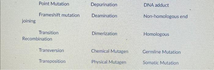 Solved Point Mutation Depurination DNA adduct Frameshift | Chegg.com