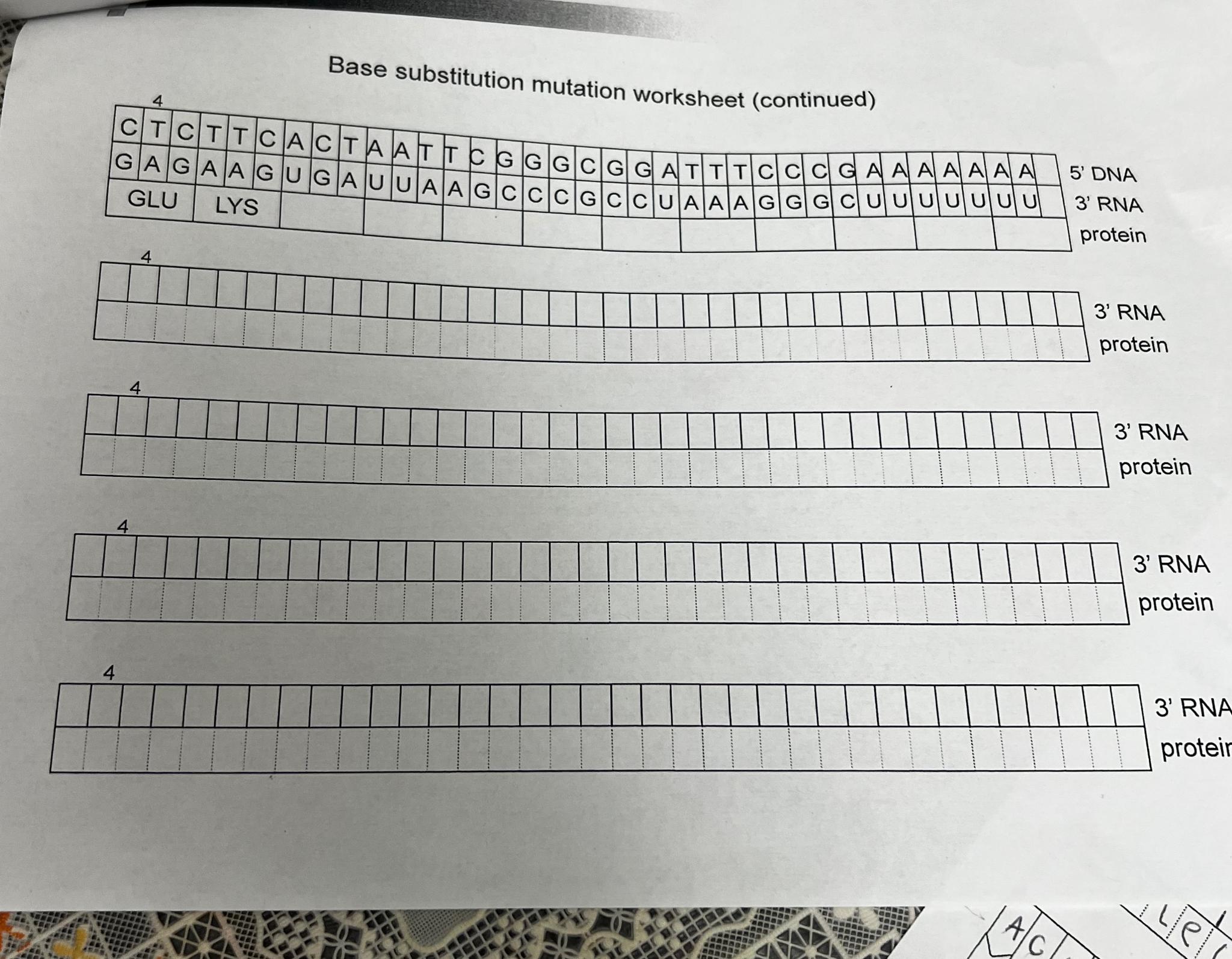 Solved Base substitution mutation worksheetTable 1. ﻿normal | Chegg.com