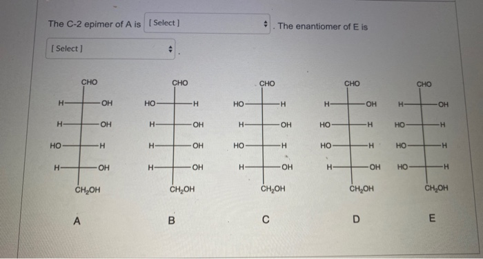 Solved The C-2 epimer of A is (Select ) The enantiomer of E | Chegg.com