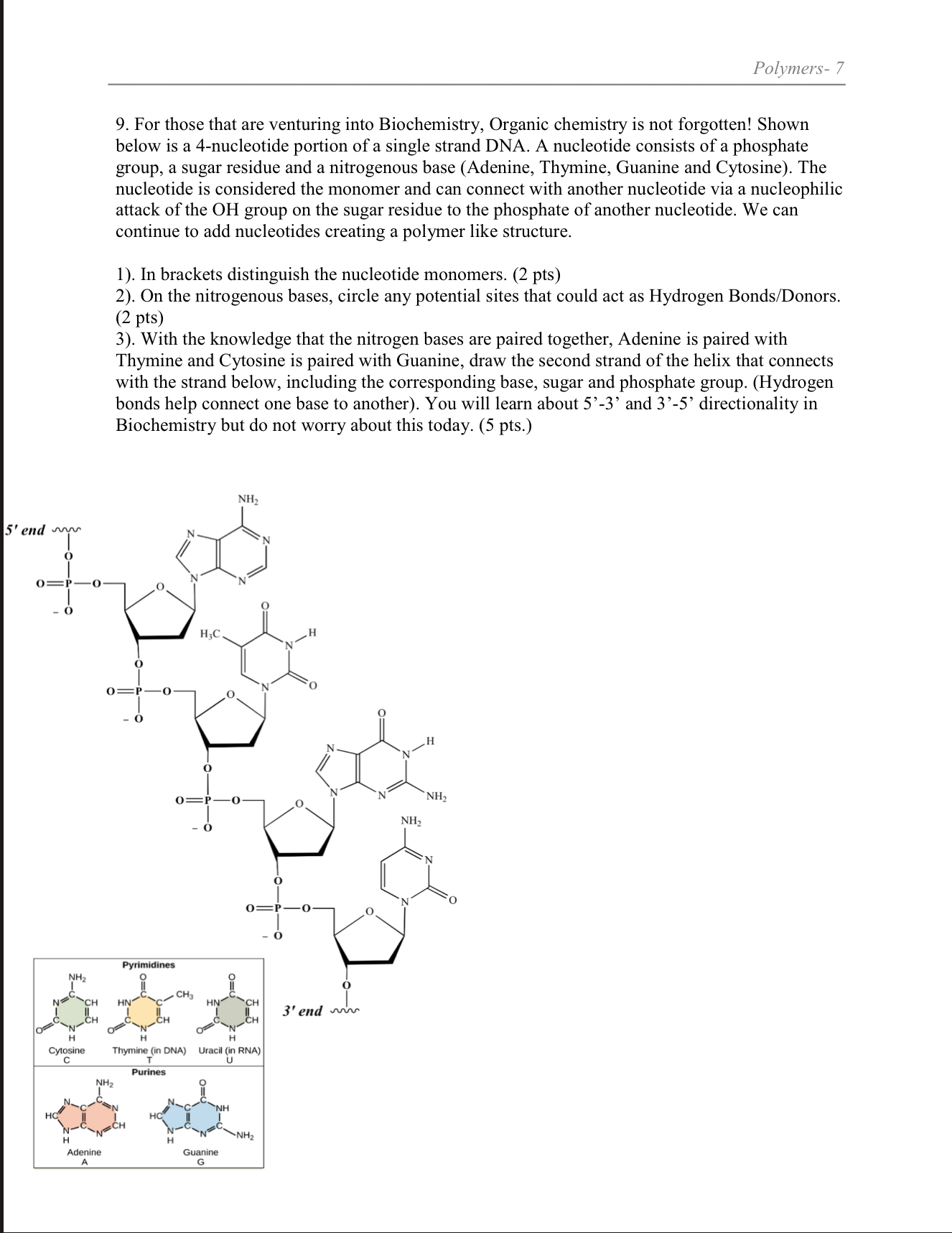 Solved Polymers- 79. ﻿For those that are venturing into | Chegg.com
