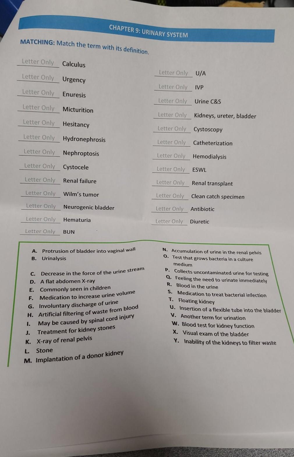 Solved CHAPTER 9: URINARY SYSTEM MATCHING: Match the term | Chegg.com