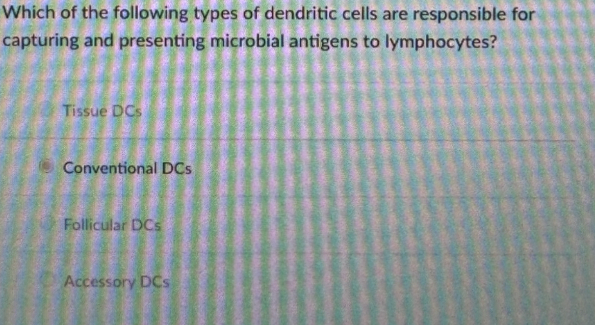 Solved Which of the following types of dendritic cells are | Chegg.com